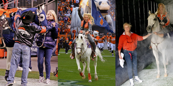 Denver Broncos Mascot - Thunder
