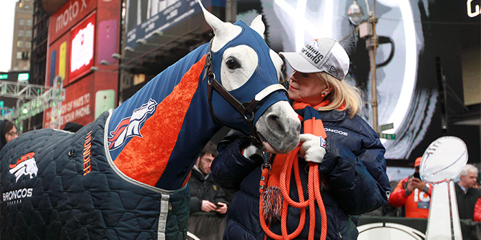 Denver Broncos Mascot - Thunder